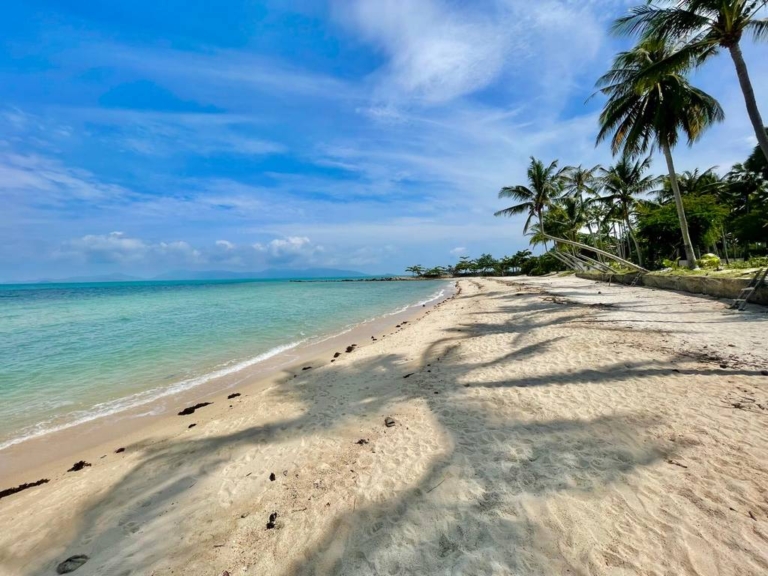 Ban Tai Beach, Koh Samui | Koh Samui Beach Information